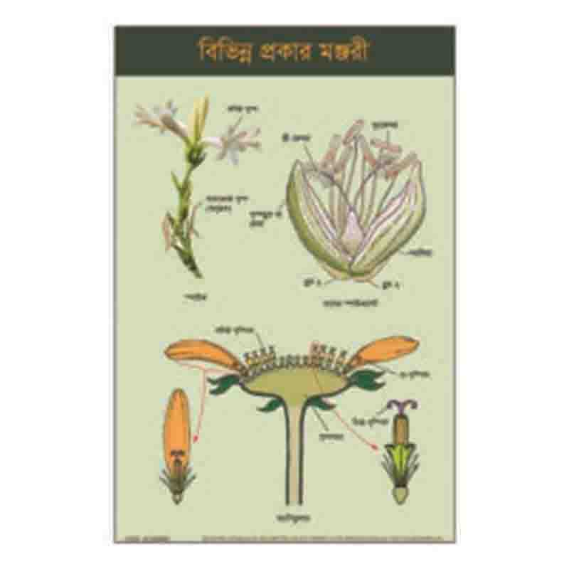 CHART Infore scence - Taj Scientific Online Store